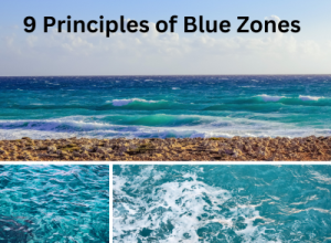 The 9 Powerful Principles of Blue Zones - The Toned Woman